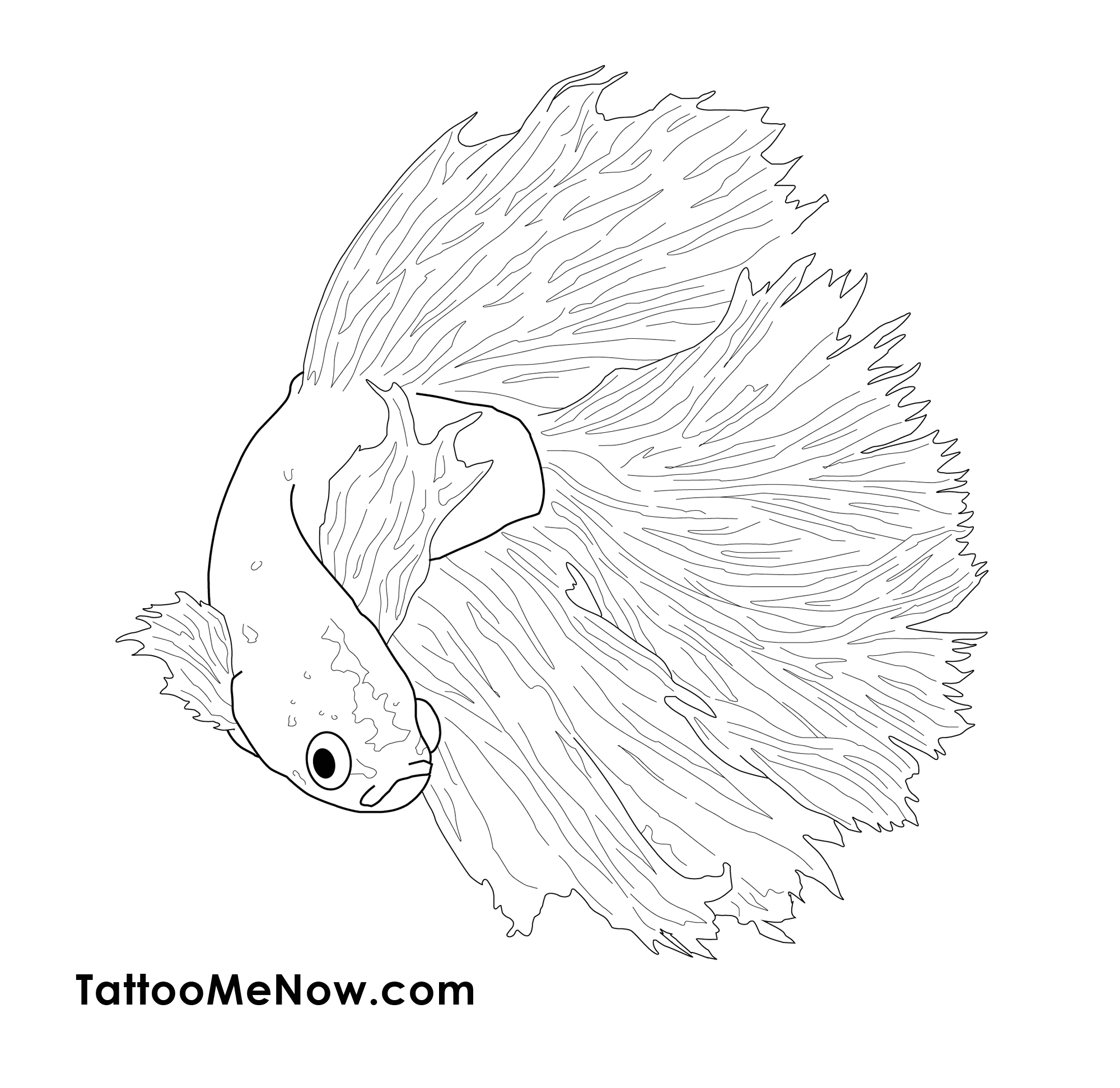 Unique and Beautiful Betta Fish Tattoo Designs and their Meaning ...