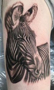65 Trendy Zebra Tattoos, Ideas, & Meaning - Tattoo Me Now