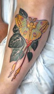 85 Transformative Moth Tattoos, Ideas, & Meaning - Tattoo Me Now
