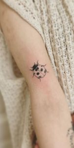 100 Ladybug Tattoos: A Symbol of Luck & Beauty - Tattoo Me Now