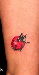 100 Ladybug Tattoos: A Symbol of Luck & Beauty - Tattoo Me Now