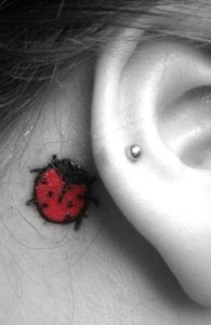 100 Ladybug Tattoos: A Symbol of Luck & Beauty - Tattoo Me Now