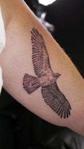 100 Majestic Hawk Tattoos That Exude Strength and Courage! - Tattoo Me Now