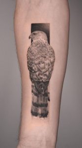 100 Majestic Hawk Tattoos That Exude Strength and Courage! - Tattoo Me Now